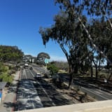 Seven Bridge Walk, California - 4,863 Reviews, Map | AllTrails