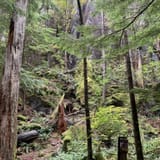 Little Si Trail, Washington - 12,603 Reviews, Map | AllTrails