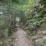Little Si Trail, Washington - 12,603 Reviews, Map | AllTrails