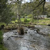 Warburton River Walk and O'Shannassy Aqueduct Loop, Victoria, Australia ...