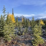 Karst Spring Trail, Alberta, Canada - 1,025 Reviews, Map | AllTrails