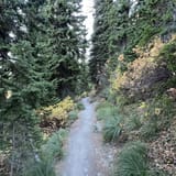 Haystack Butte via Highline Trail, Montana - 2,697 Reviews, Map | AllTrails
