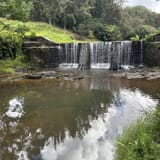Wai Koa Loop Trail, Kaua'i, Hawaii - 1,858 Reviews, Map | AllTrails