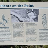 Cattle Point Trail, Washington - 121 Reviews, Map | AllTrails