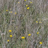 Cattle Point Trail, Washington - 121 Reviews, Map | AllTrails