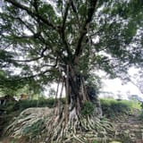 The Pekoe Trail Stage 01: Hanthana To Galaha, Kandy, Sri Lanka - 176 ...