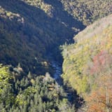 Pendleton Point Overlook, West Virginia - 197 Reviews, Map | AllTrails