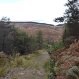 Pen-pych Circular, Rhondda Cynon Taf, Wales - 290 Reviews, Map | AllTrails