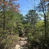 Auxier Ridge Trail to Courthouse Rock, Kentucky - 2,638 Reviews, Map ...
