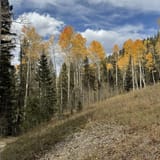 Blaine Basin, Colorado - 368 Reviews, Map | AllTrails