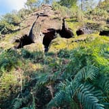 Kinver Edge Circular, West Midlands, England - 745 Reviews, Map | AllTrails