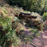 Kinver Edge Circular, West Midlands, England - 745 Reviews, Map | AllTrails