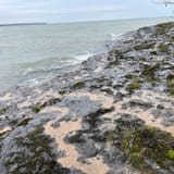 Rock Point Provincial Park, Ontario, Canada - 44 Reviews, Map | AllTrails