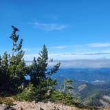 McNeil Point Trail, Oregon - 3,503 Reviews, Map | AllTrails