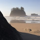 Second Beach, Washington - 2,138 Reviews, Map | AllTrails