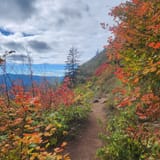 McNeil Point Trail, Oregon - 3,523 Reviews, Map | AllTrails