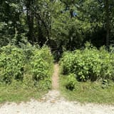 Springbrook Prairie Trail, Illinois - 1,096 Reviews, Map | AllTrails