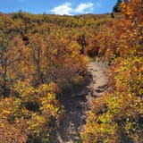 Carpenter Peak Trail, Colorado - 3,828 Reviews, Map | AllTrails
