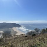 Lower Cascade Head Trail, Oregon - 2,654 Reviews, Map | AllTrails