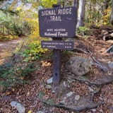 Mount Carrigain via Signal Ridge Trail, New Hampshire - 3,004 Reviews ...
