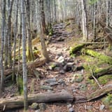 Mount Carrigain via Signal Ridge Trail, New Hampshire - 3,004 Reviews ...