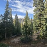 Mitchell Lake Trail, Colorado - 629 Reviews, Map | AllTrails