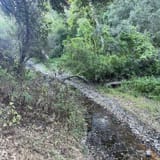 Murphy Ranch Trail, California - 4,101 Reviews, Map | AllTrails