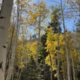 Lockett Meadow Inner Basin Loop, Arizona - 823 Reviews, Map | AllTrails