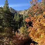Lower Mill B North Fork Trail, Utah - 2,132 Reviews, Map | AllTrails