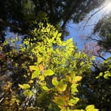 Basin Cascade Trail, New Hampshire - 2,465 Reviews, Map | AllTrails