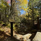 Basin Cascade Trail, New Hampshire - 2,498 Reviews, Map | AllTrails