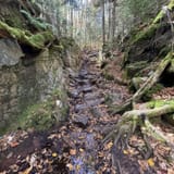 Basin Cascade Trail, New Hampshire - 2,498 Reviews, Map | AllTrails