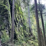 Little Si Trail, Washington - 12,624 Reviews, Map | AllTrails