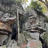 Wolf Rocks Trail, Pennsylvania - 1,569 Reviews, Map | AllTrails