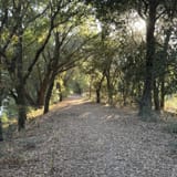 The Meadows Slough Trail, California - 448 Reviews, Map | AllTrails