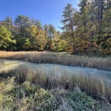 Fore River Sanctuary White Trail, Maine - 1,482 Reviews, Map | AllTrails