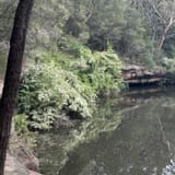 Lane Cove Riverside Walk, New South Wales, Australia - 1,811 Reviews ...