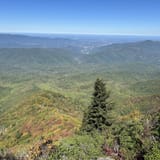 Mount Cammerer Loop - Low Gap and Lower Cammerer [CLOSED], Tennessee ...