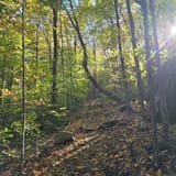Mount Arab Trail, New York - 2,588 Reviews, Map | AllTrails
