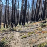 Ralston Peak, California - 1,693 Reviews, Map | AllTrails