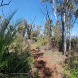 Mount Cooke Loop, Western Australia, Australia - 646 Reviews, Map ...