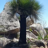 Mount Cooke Loop, Western Australia, Australia - 646 Reviews, Map ...