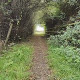 Farmoor Reservoir Countryside Walk, Oxfordshire, England - 88 Reviews ...
