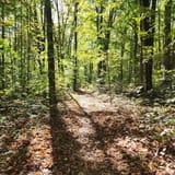 Jordan Valley Pathway, Michigan - 795 Reviews, Map | AllTrails