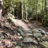 Ramsey Cascades Trail, Tennessee - 2,640 Reviews, Map | AllTrails