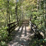 Ramsey Cascades Trail, Tennessee - 2,640 Reviews, Map | AllTrails