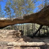 Princess Arch Trail, Kentucky - 1,590 Reviews, Map | AllTrails