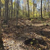 Mount Arab Trail, New York - 2,590 Reviews, Map | AllTrails
