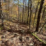 Slide Mountain Trail, New York - 1,820 Reviews, Map | AllTrails