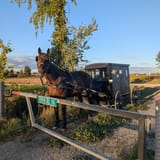 G2G Rail Trail: Millbank to Wallenstein, Ontario, Canada - 76 Reviews ...